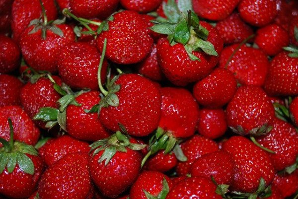 Storing Strawberries | Chef Darin Sehnert – Hands on Cooking Classes ...